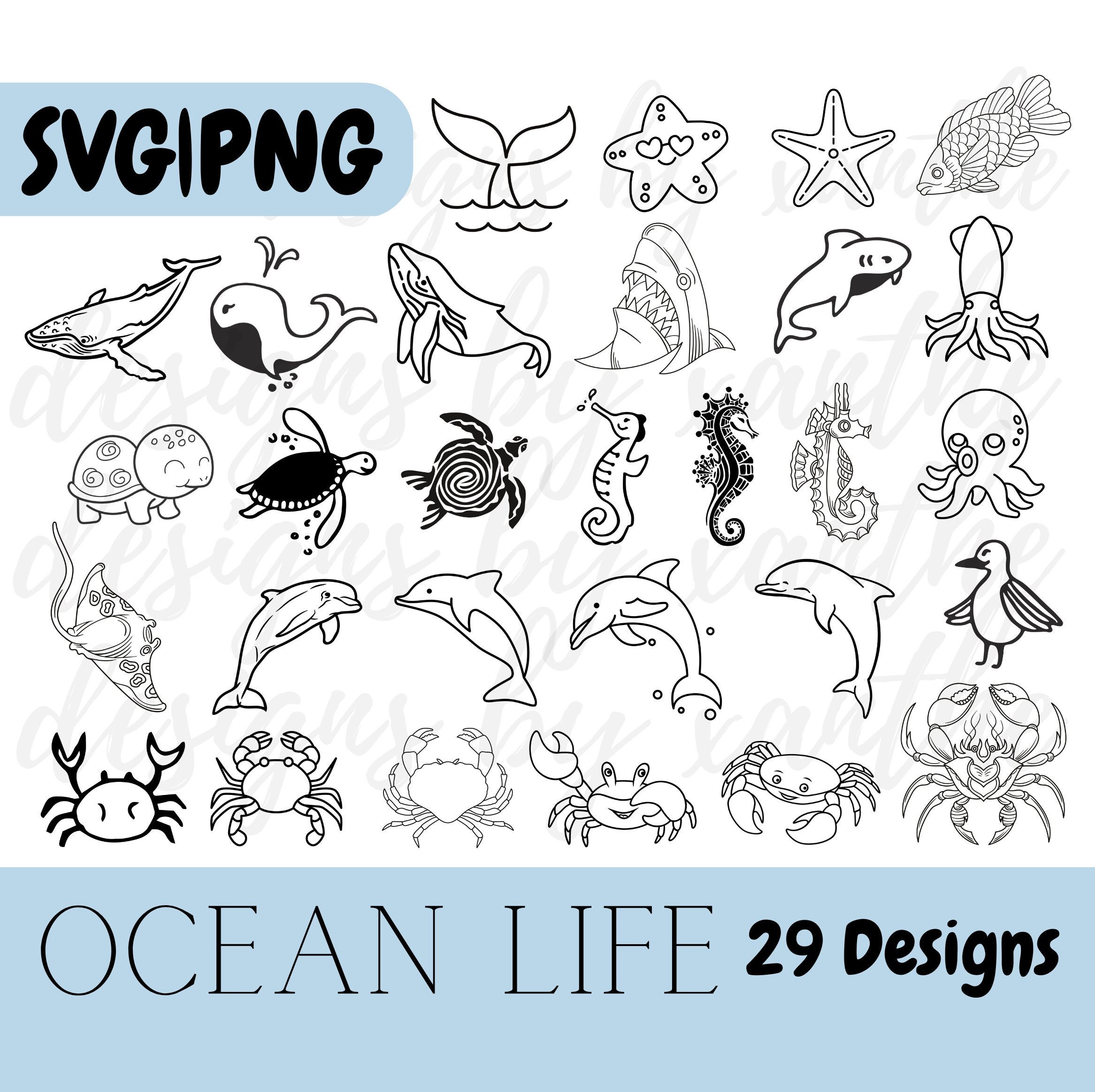 Ocean Life Svg Bundle Starfish Svg Shark Svg Marine Svg - Etsy Australia