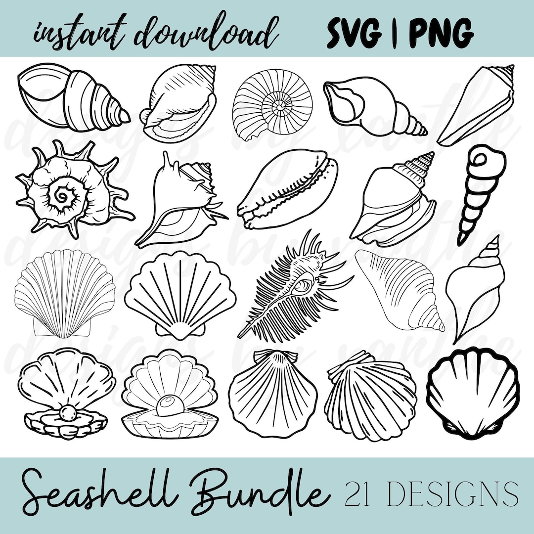 Sea Shell SVG Bundle, Ocean Beach Shell Clipart, Nautical Summer SVG ...