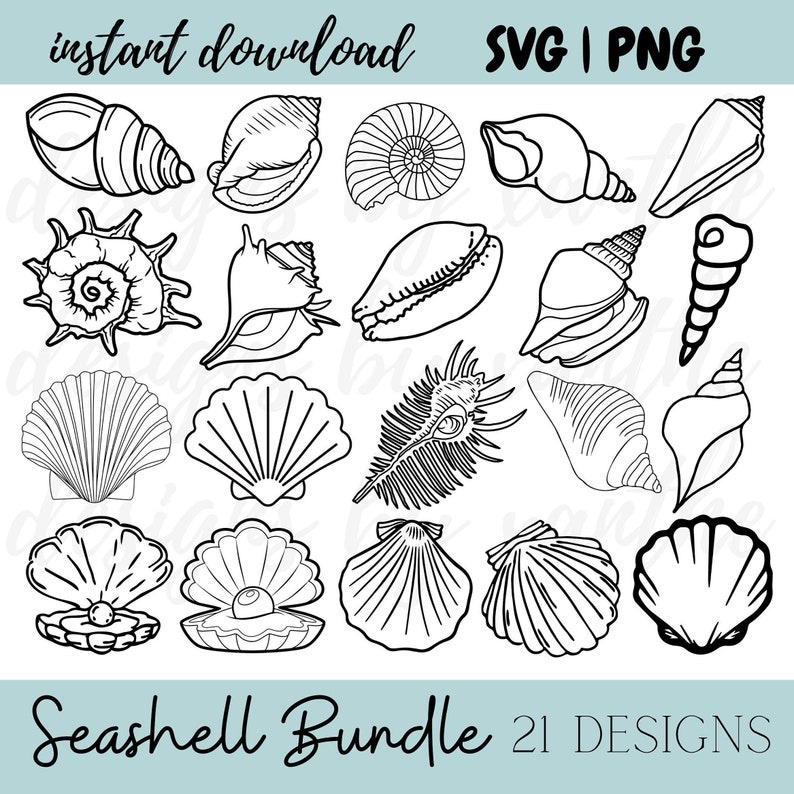 Sea Shell Svg Bundle Shell Svg Seashell Clipart Clam Svg Scallop Svg ...