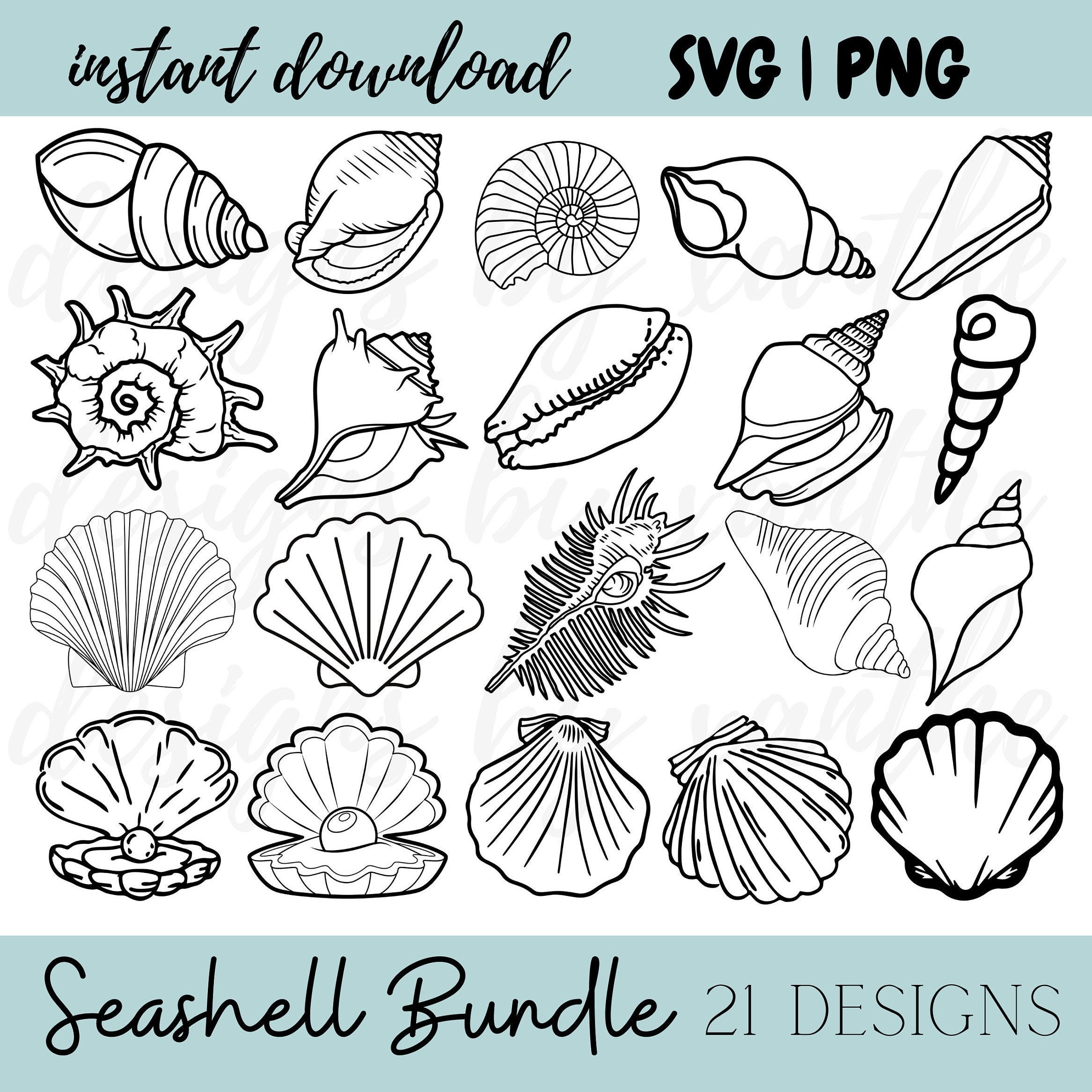 Sea Shell Svg Bundle Shell Svg Seashell Clipart Clam Svg Scallop Svg ...