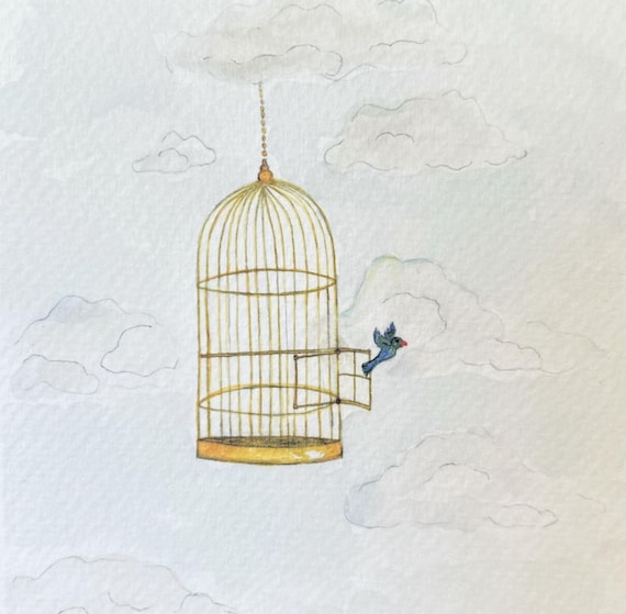 Bird Cage Twitter Cover Recent Leadership Changes Suggest That Twitter