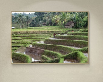 Bali Rice Field - Etsy
