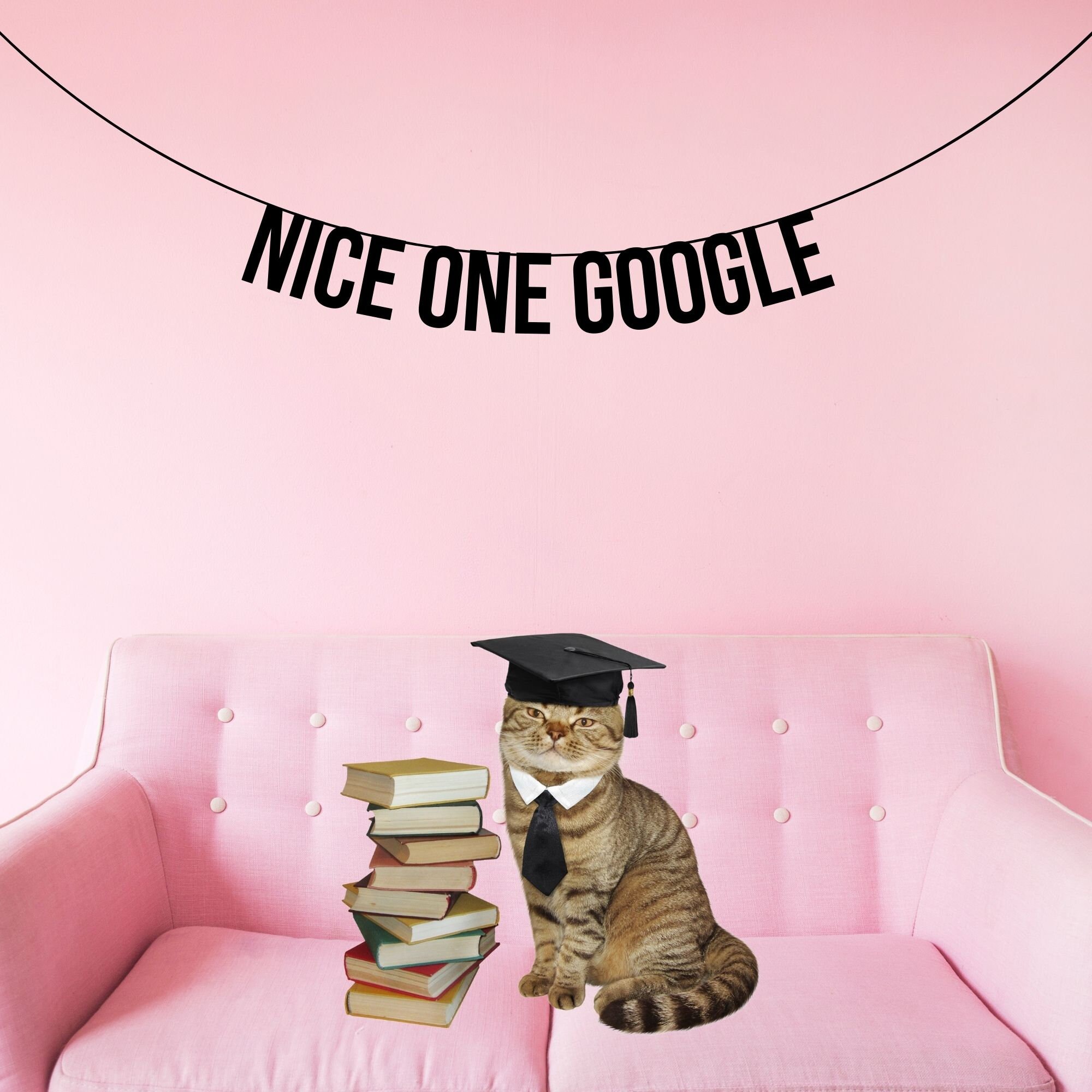 Nice One Google. Rude/funny Graduation Banners. Funny Banners | Etsy