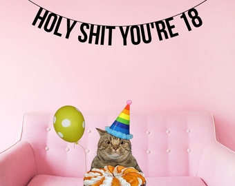 Funny Birthday Banner - Etsy