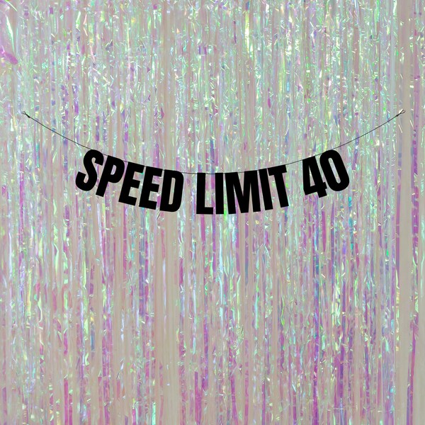 Funny Speed Limit Signs - Etsy