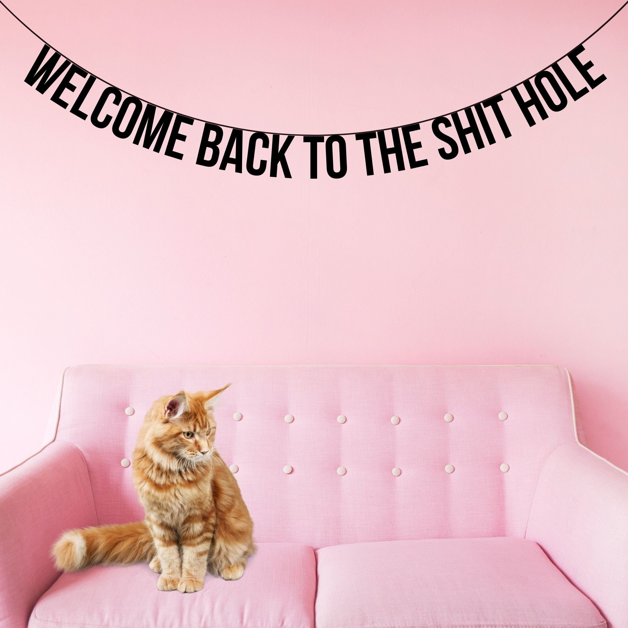 Welcome Back to the Shit Hole. Funny Welcome Home Banners. | Etsy