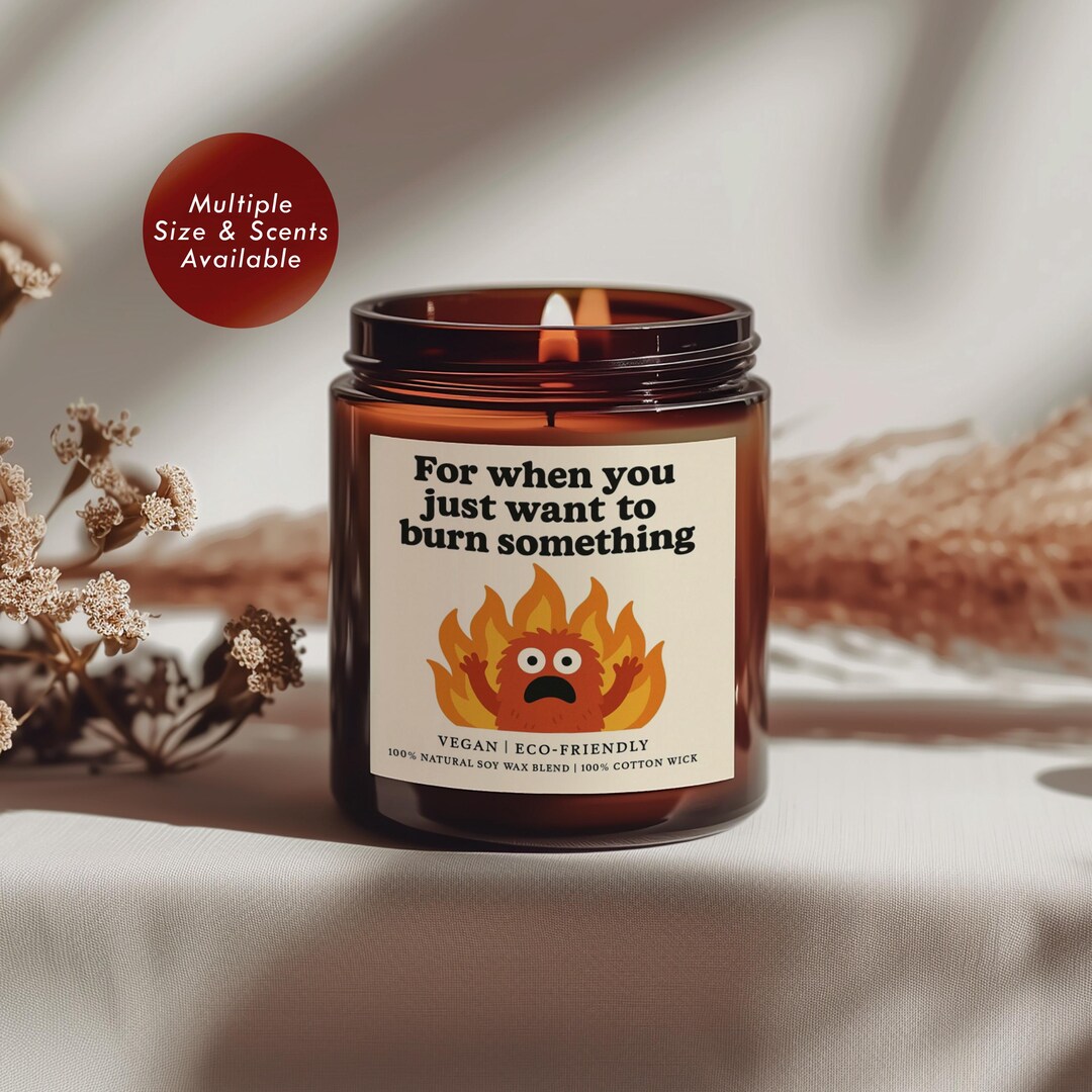 When You Just Want to Burn Something Scented Soy Candle (amber Jar ...
