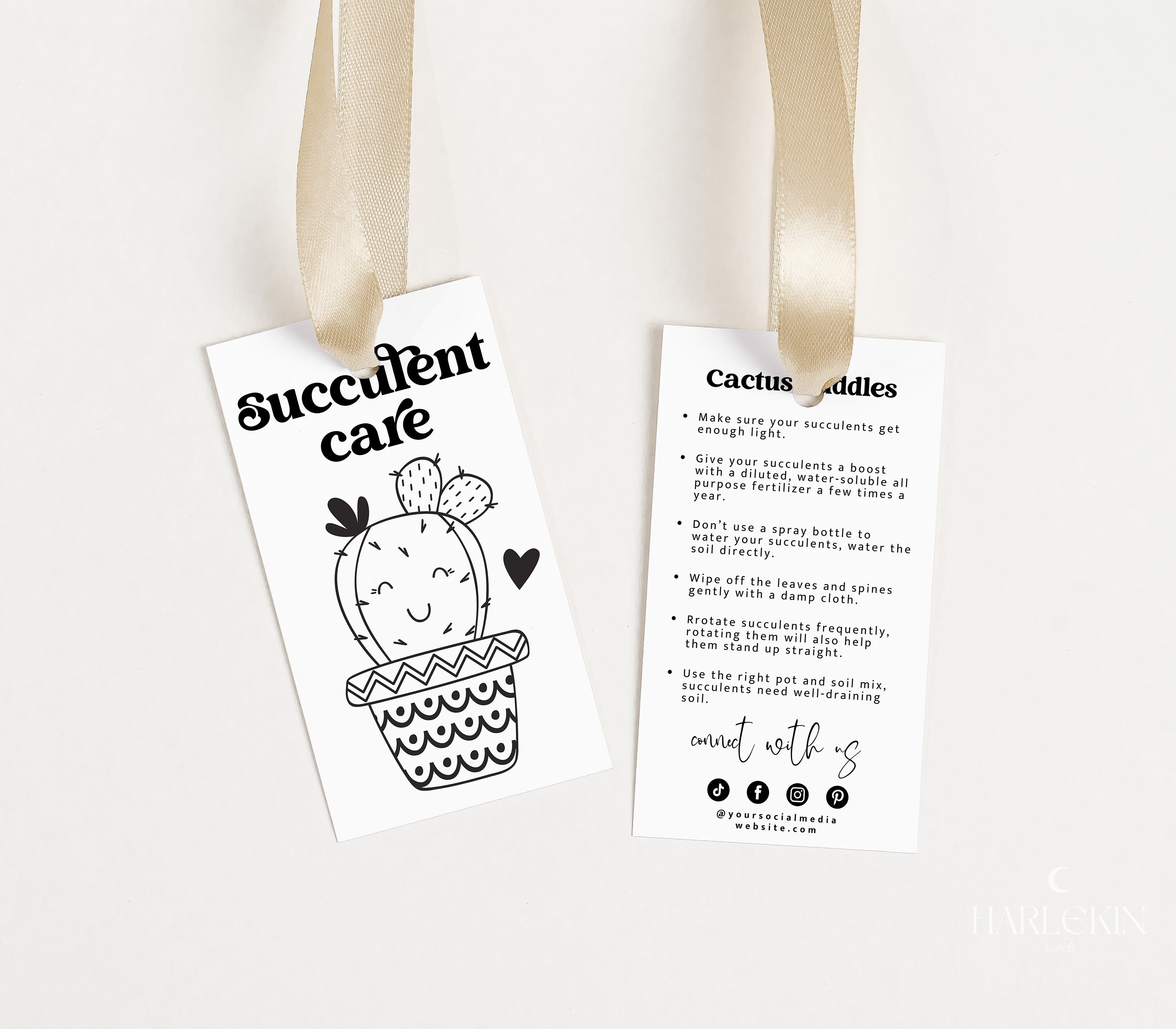 Editable Succulent Plant Care Card Guide, Cactus Care Tips Template ...