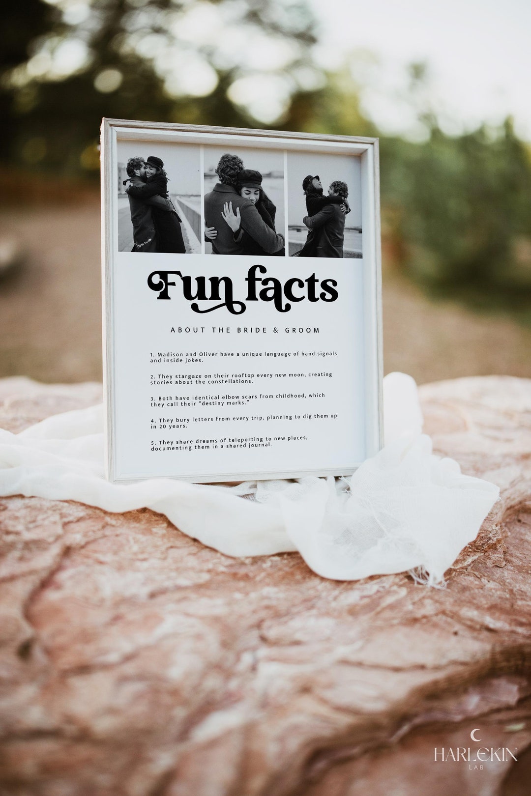 Editable Fun Fact About the Bride and Groom Sign Template, Modern Photo ...