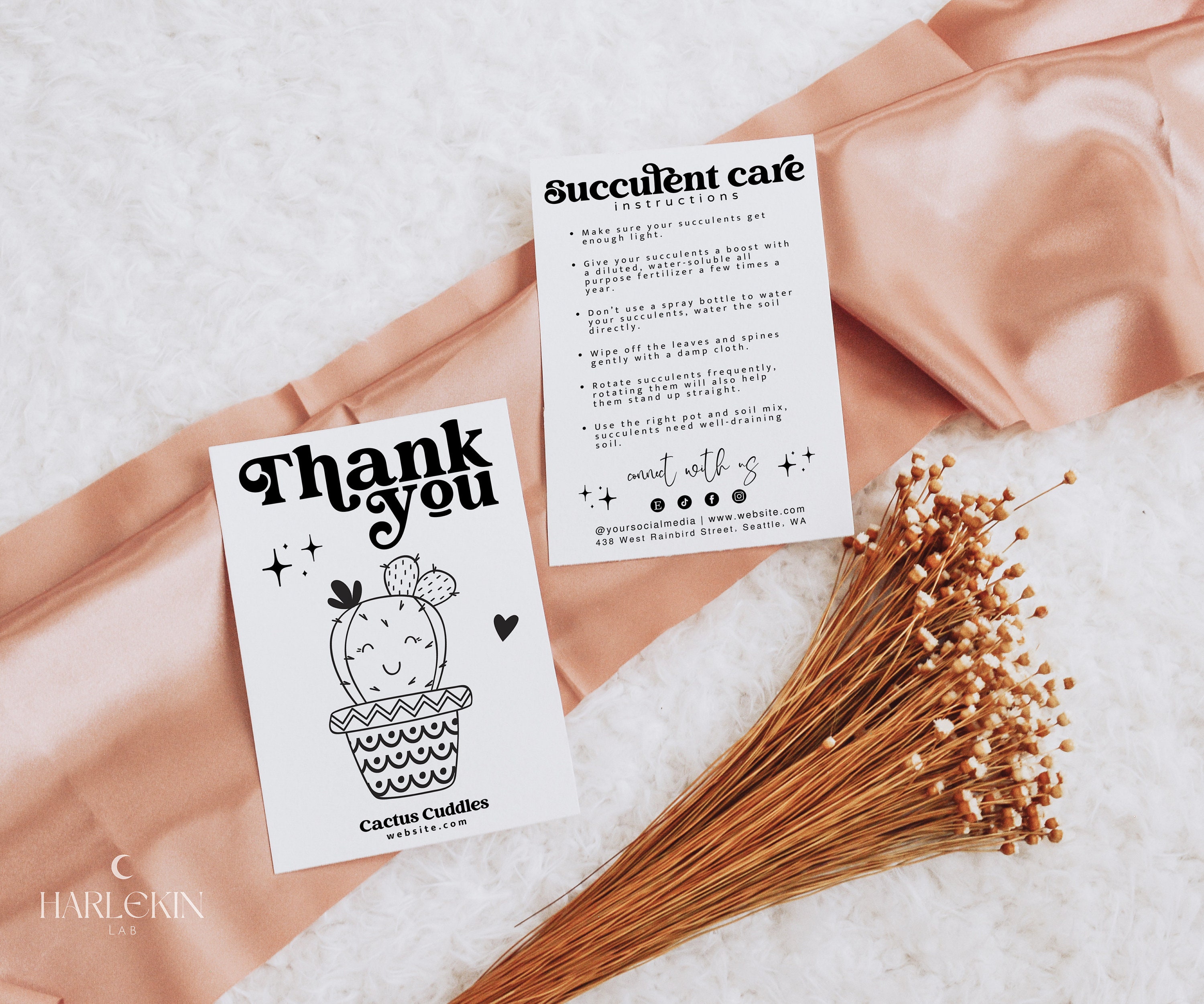 Editable Succulent Plant Care Card Guide, Cactus Care Tips Template ...