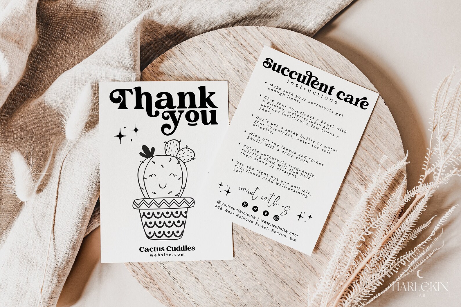 Editable Succulent Plant Care Card Guide, Cactus Care Tips Template ...