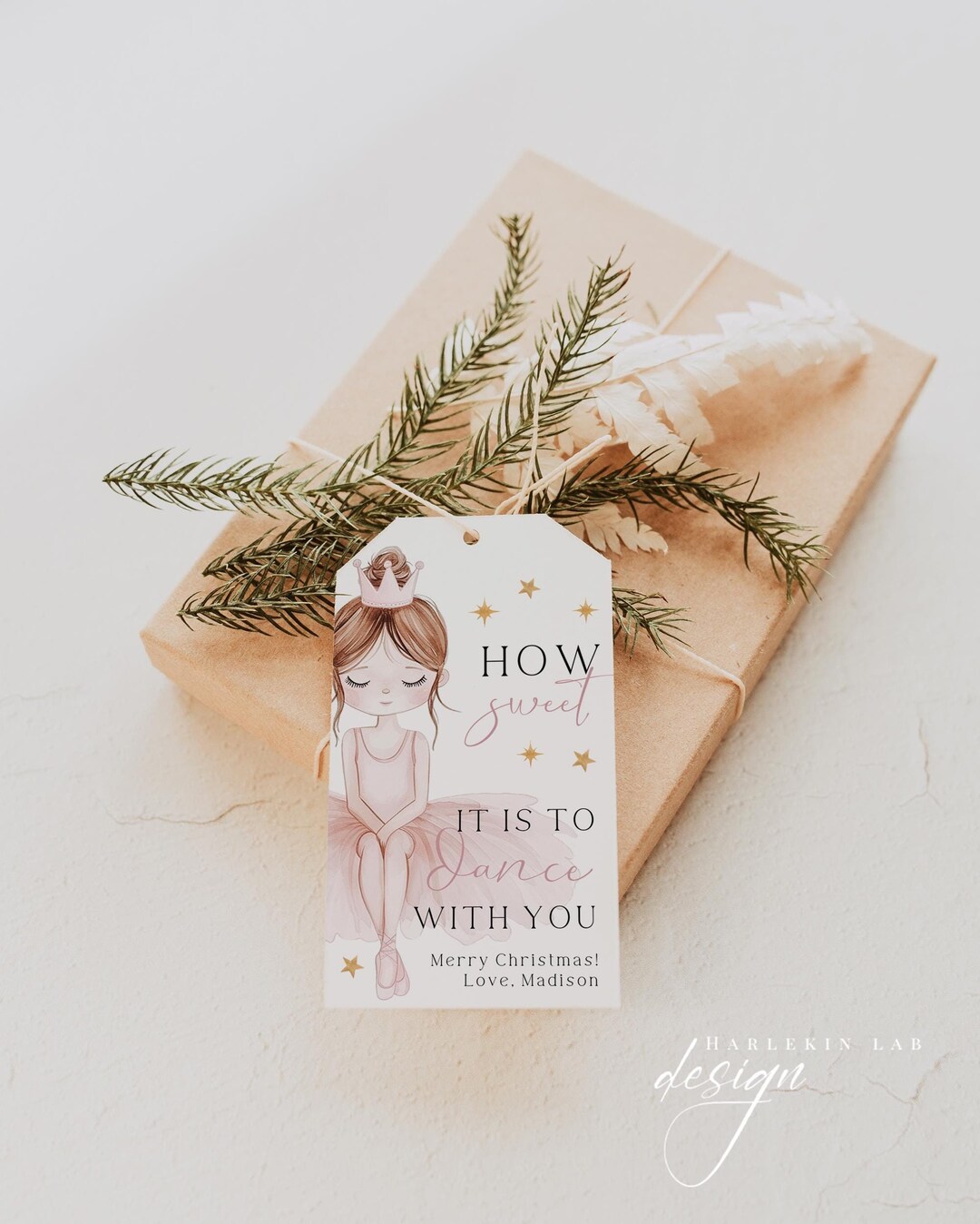 VIA Editable Dance Class Christmas Gift Tag Template, DIY Pastel Ballet ...