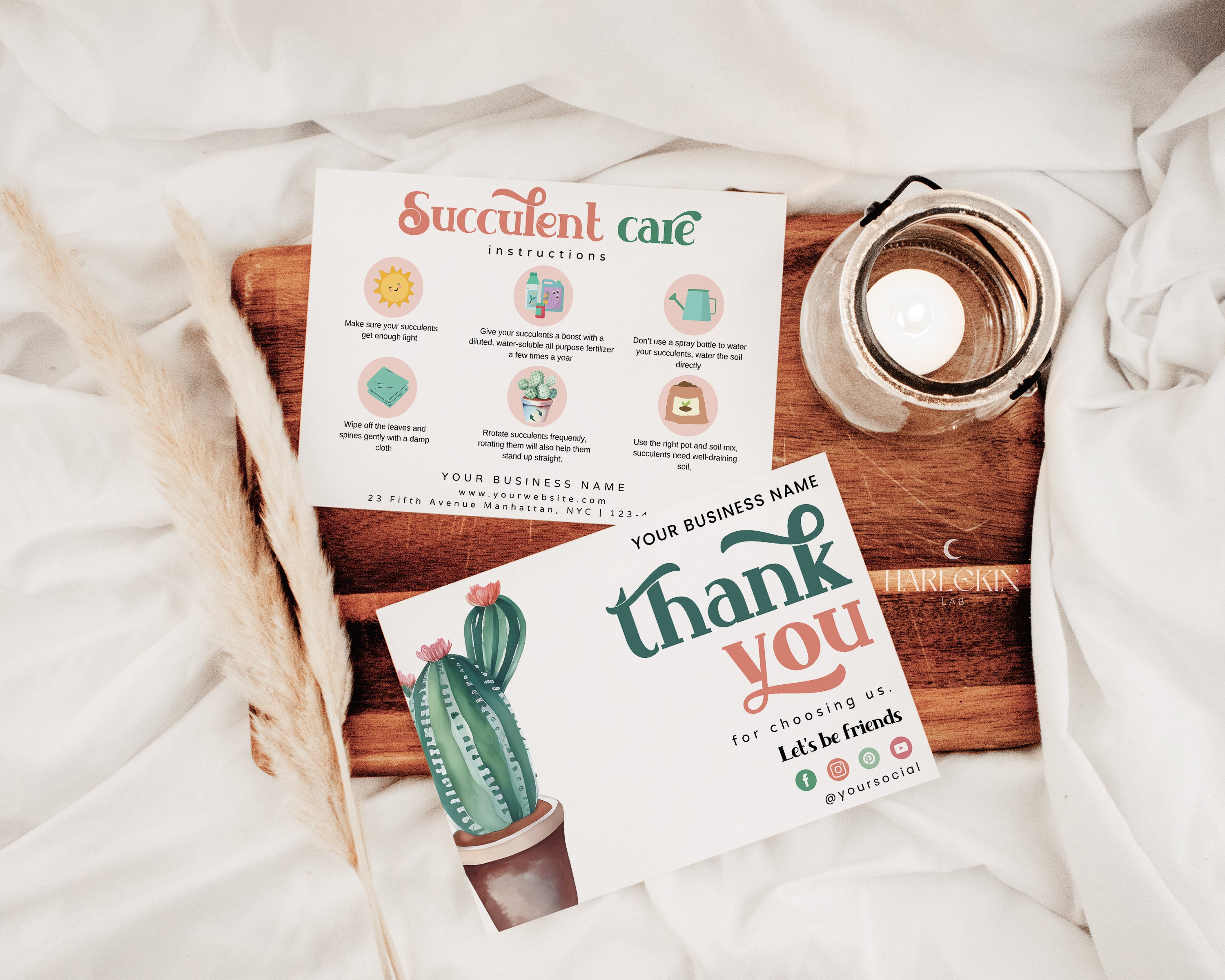 Editable Succulent Plant Care Card Guide, Cactus Care Tips Template ...