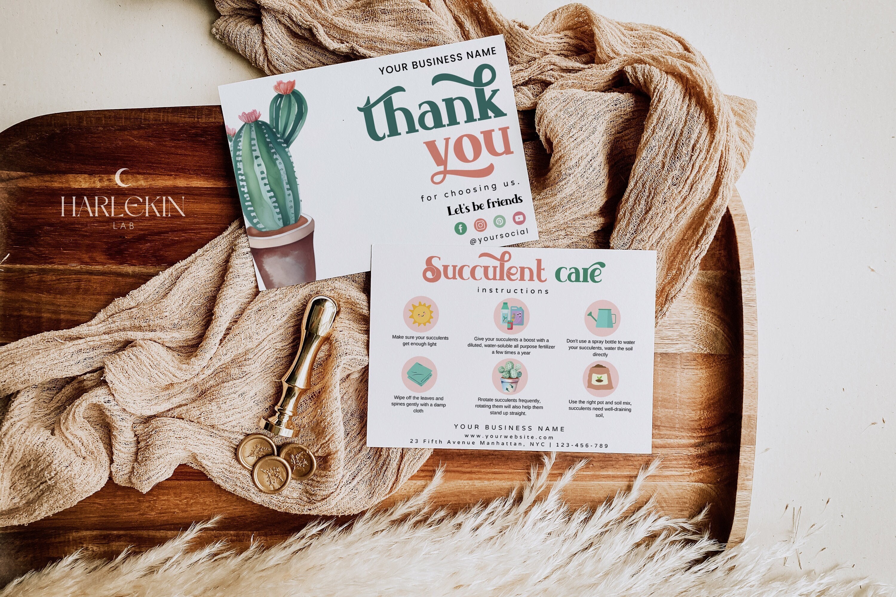 Editable Succulent Plant Care Card Guide, Cactus Care Tips Template ...