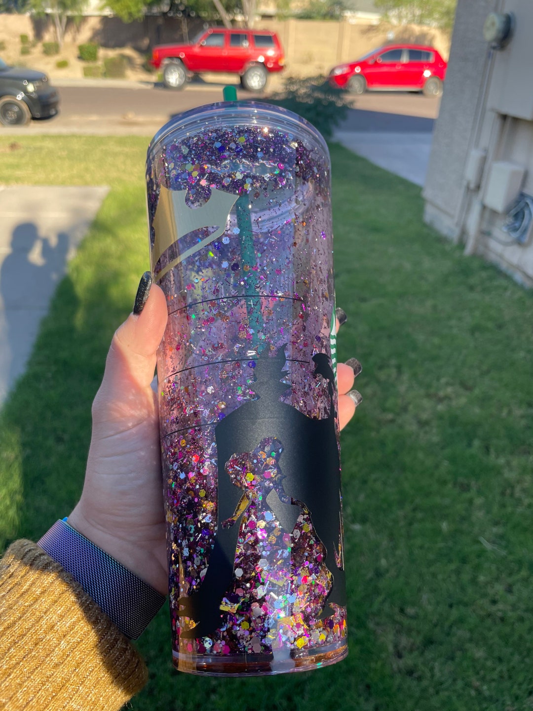 Maleficent Snowglobe Tumbler - Etsy