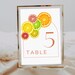Citrus Theme Table Number Template | Table Number Sign | Arch Table ...