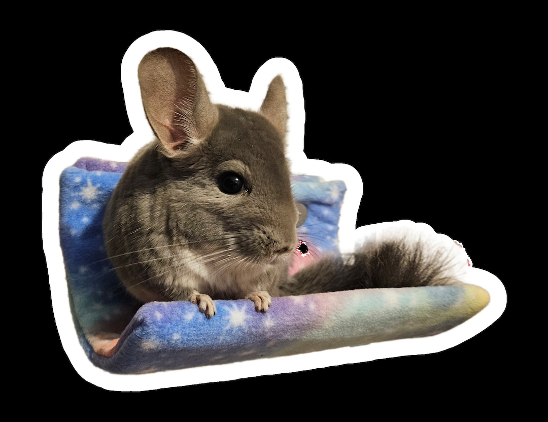 Antipill Fleece Small Pet Tunnel: Chinchilla, Ferret, Rat Cage Hideaway ...