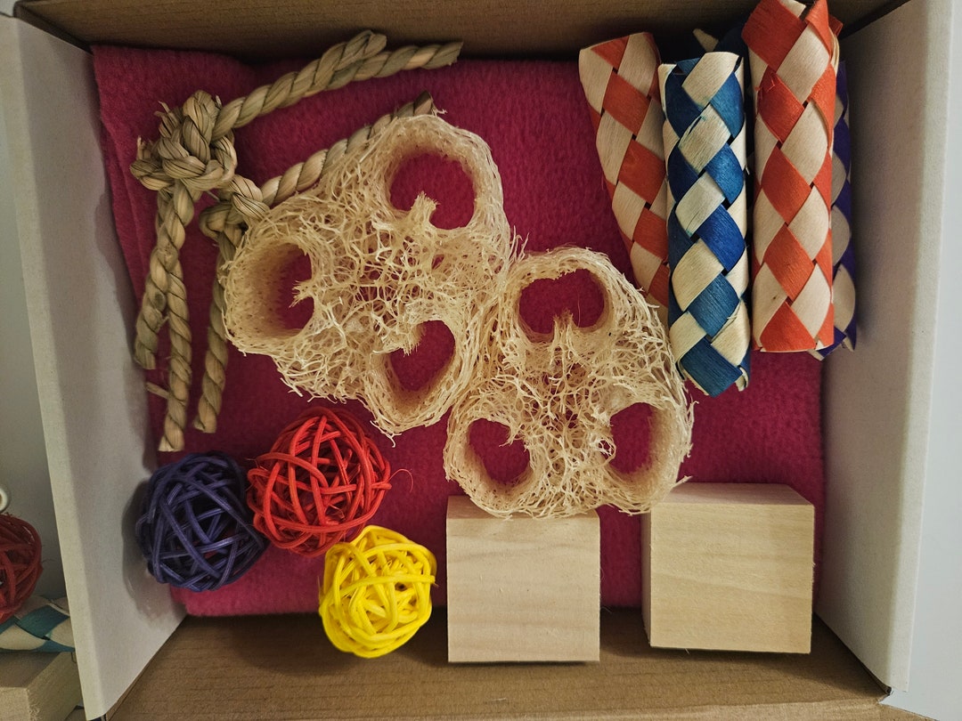 Chinchilla Chew Box - Etsy