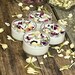 Gardenia Tuberose Tea Lights, Botanical Tea Lights, Soy Tea Ligjts ...