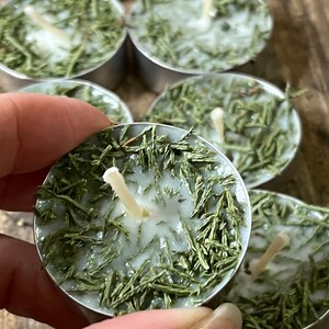 Cedar Botanical Tea Lights, Herbal Teal Lights, Cedar Candle, Handmade ...