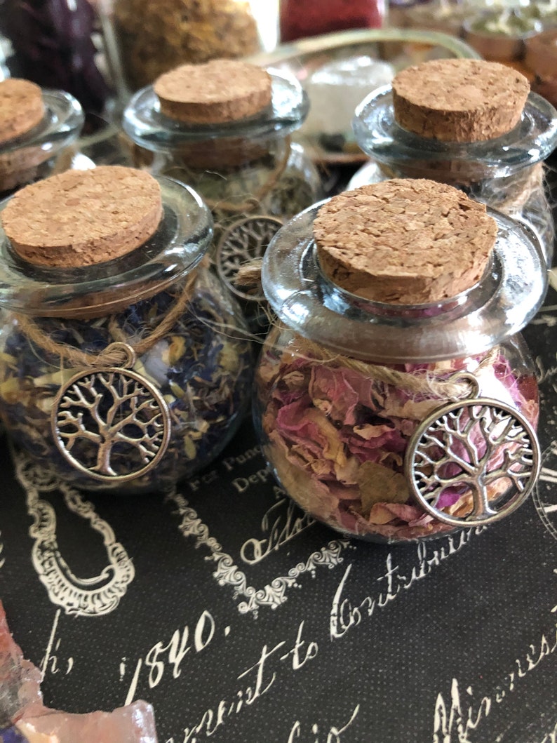 Glass Herb Jars You Pick Herbs/botanicals Resin Jars Herb - Etsy