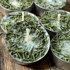 Cedar Botanical Tea Lights, Herbal Teal Lights, Cedar Candle, Handmade ...