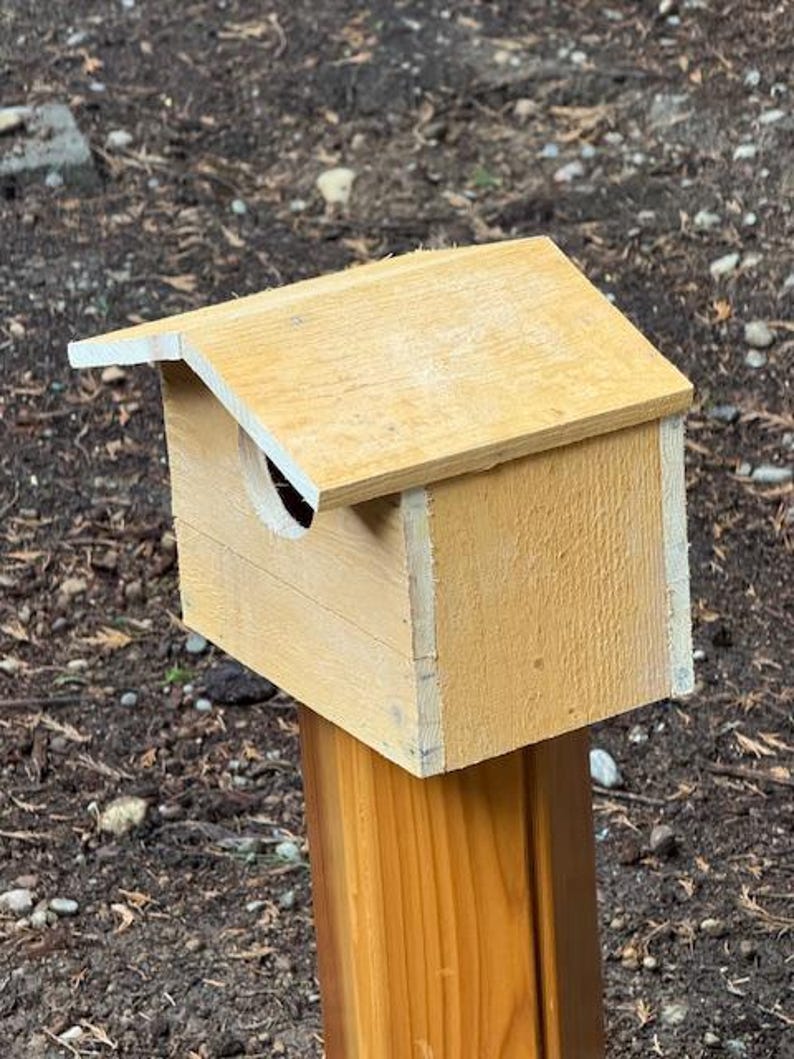 SQUIRREL NESTING BOX, Habitat, House, Garden Accessory - Etsy