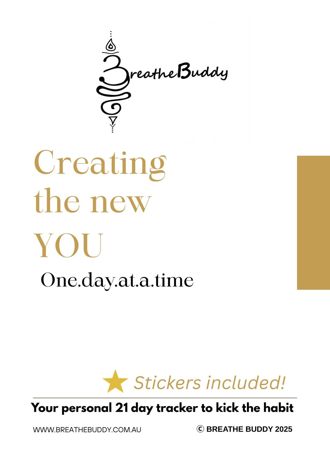 Quit Smoking/vaping 21 Day Tracker Booklet With Stickers - Etsy