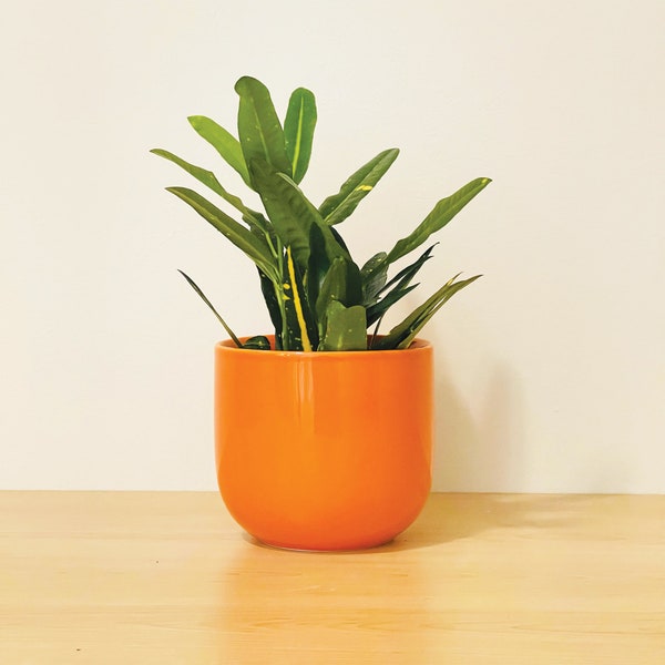 Planter Pot - Etsy