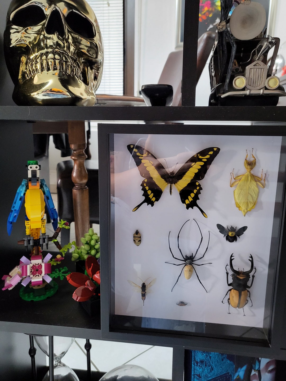 Lot 5 cadres insectes couleurs nuances bleu vert rouge orange - Etsy France