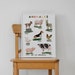 Farm Animals Poster, Educational Poster, Montessori Poster, Class Room ...