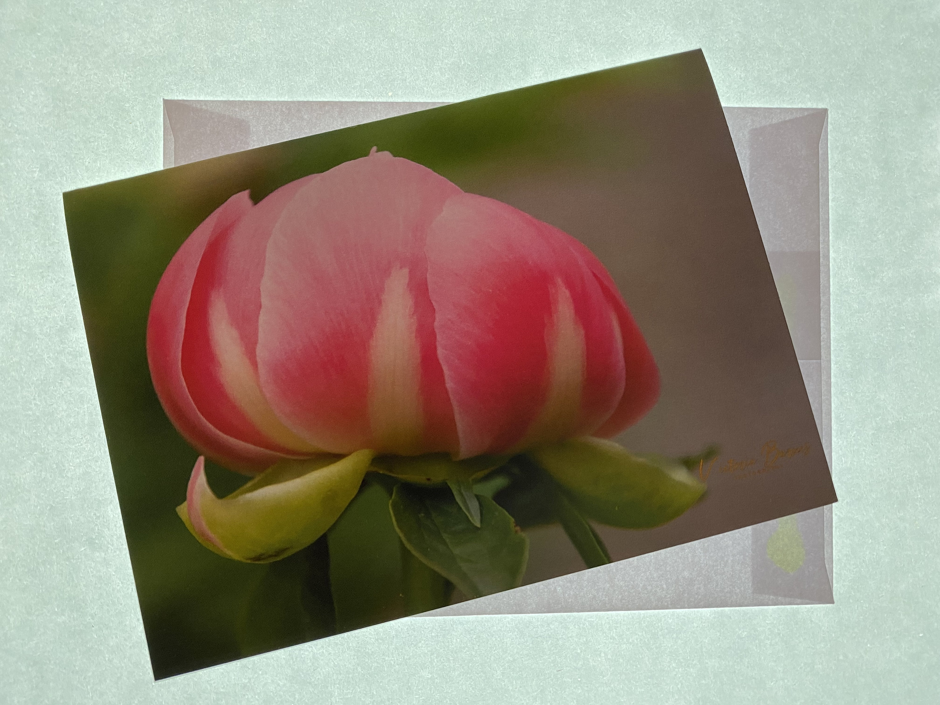 Buy My Art — Victoria Barnes Photography