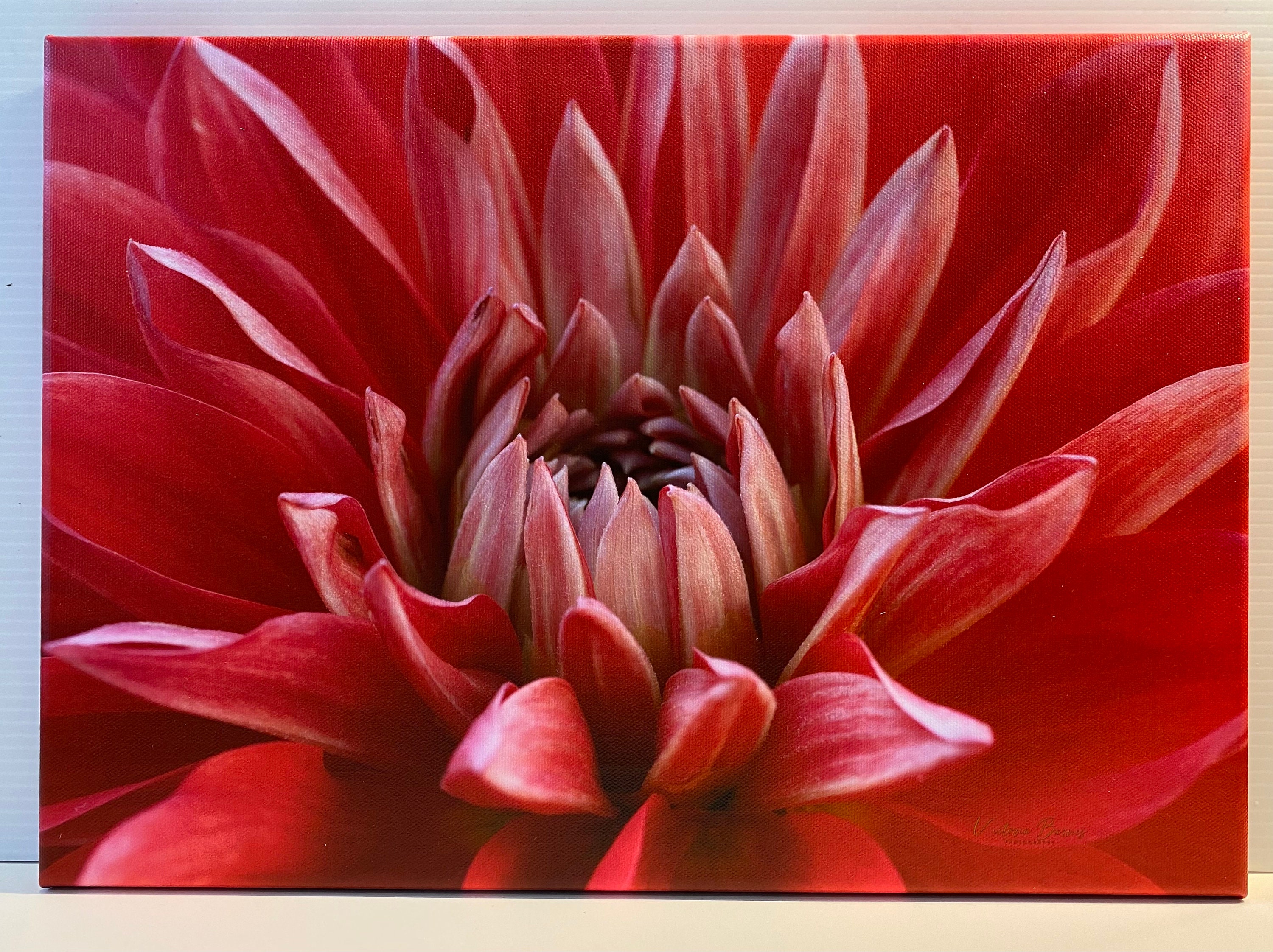 Buy My Art — Victoria Barnes Photography