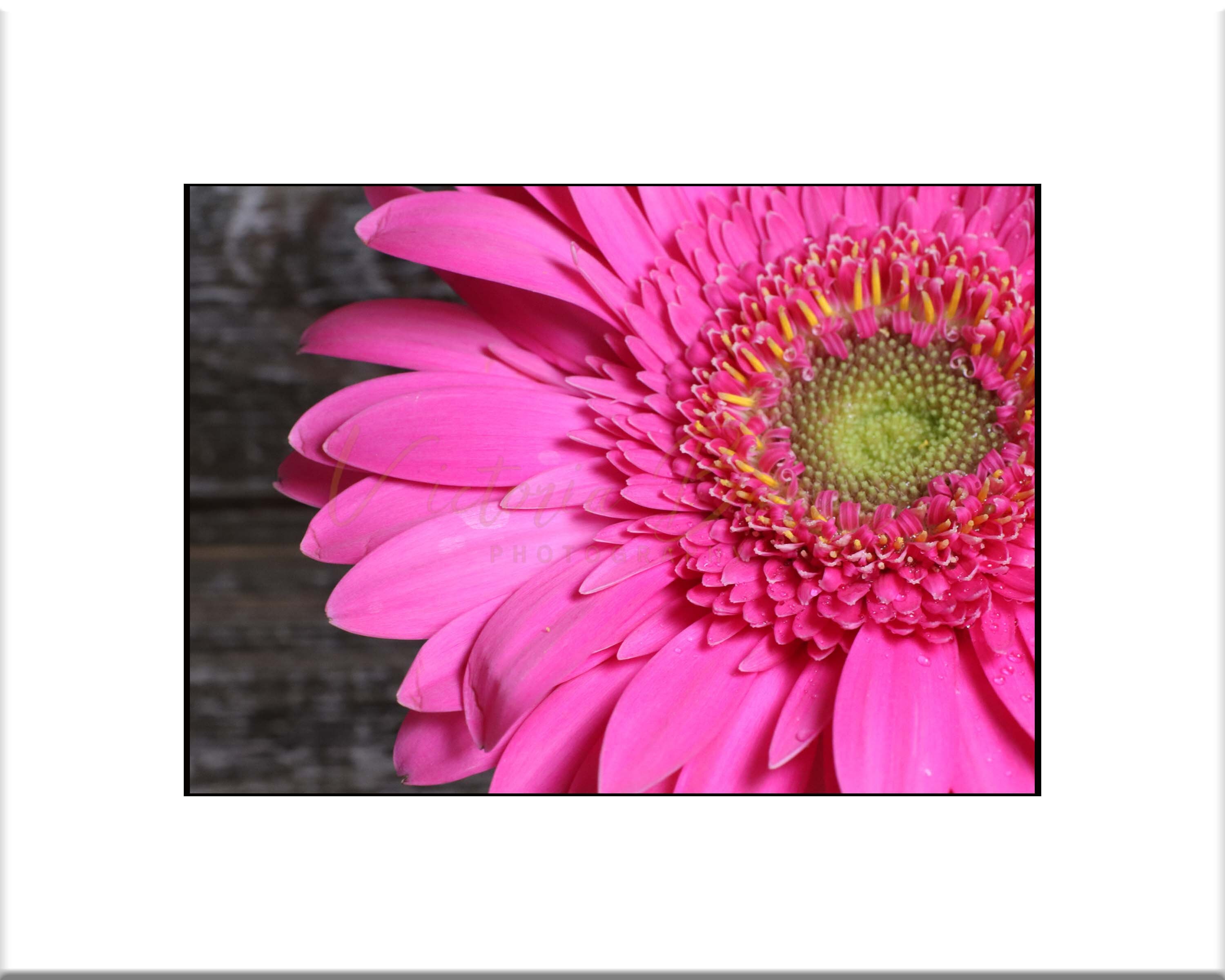 Buy My Art — Victoria Barnes Photography