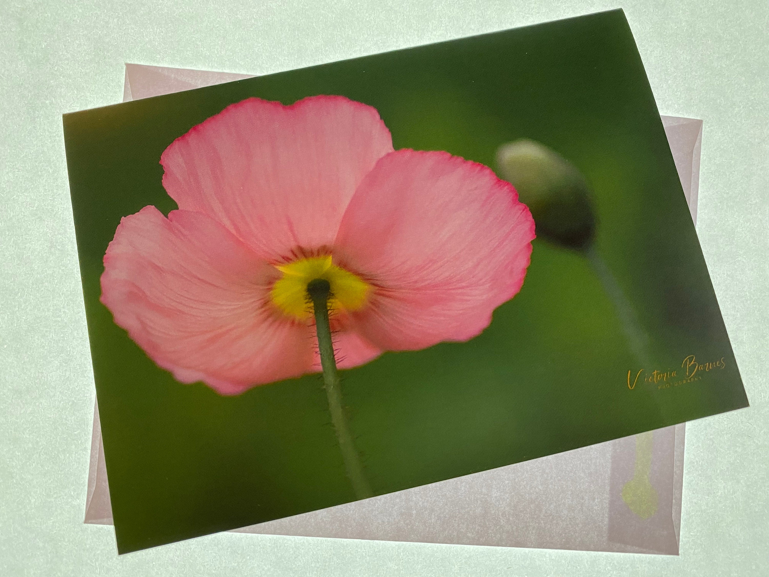 Buy My Art — Victoria Barnes Photography