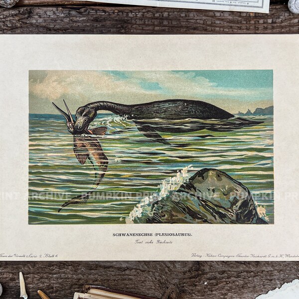Ichthyosaurus - Etsy
