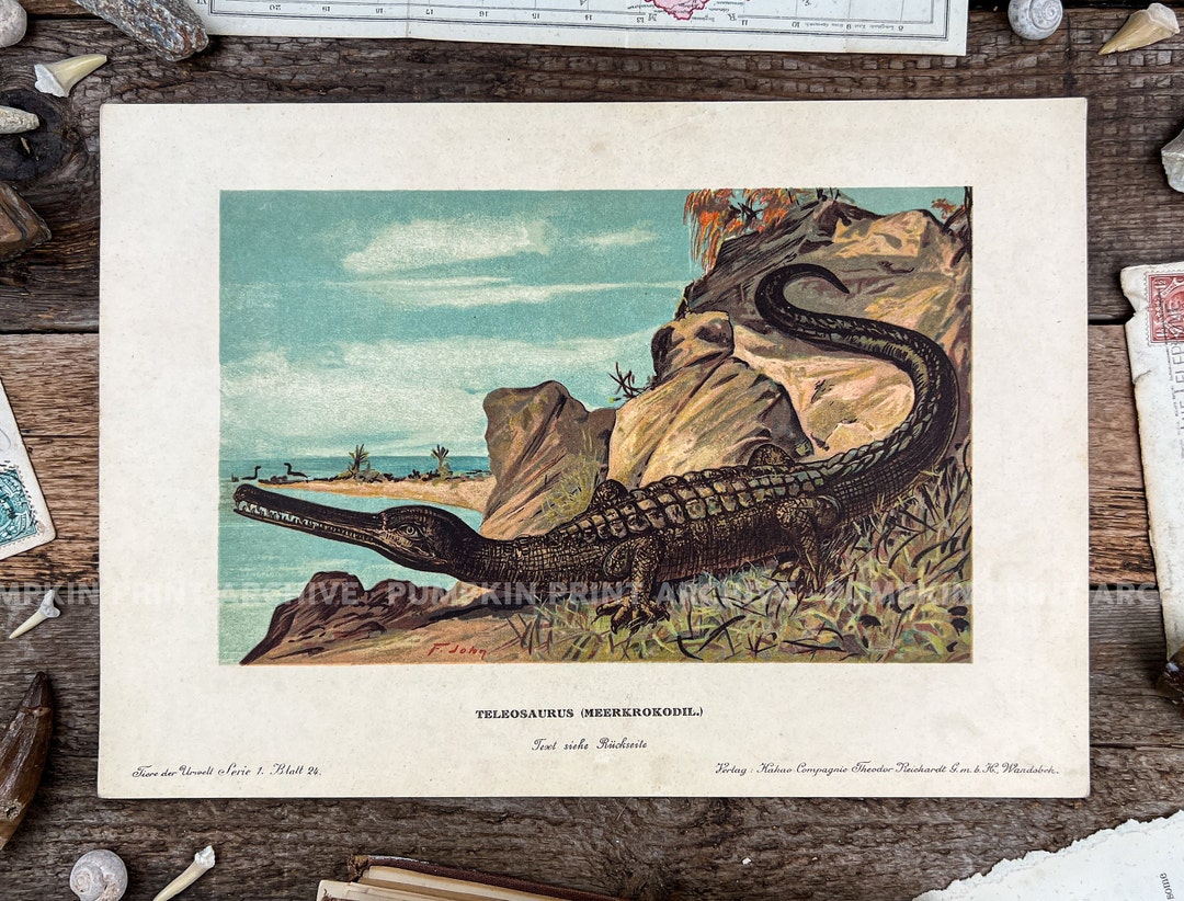 1910 Original Antique Dinosaur Print Prehistoric Extinct - Etsy