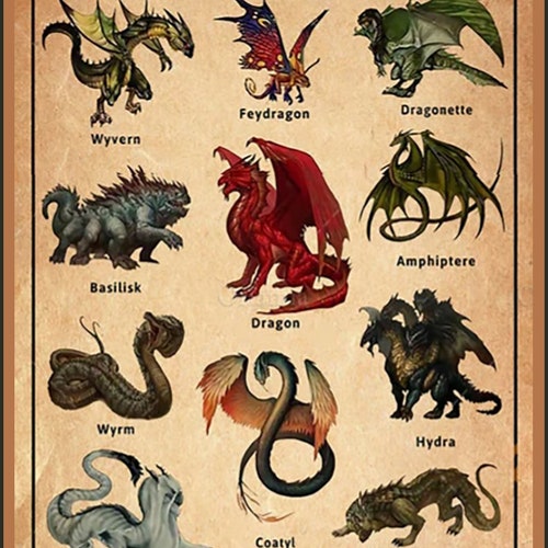 Dragon Identity Chart Art Print on Aluminum Plate Dungeons & - Etsy