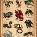 Dragon Identity Chart - Art Print on Aluminum Plate Dungeons & Dragons ...