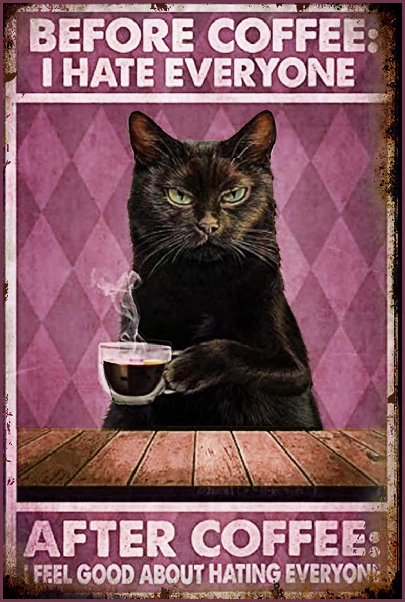 I Hate Everyone Meme Cat