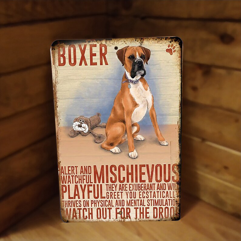 Boxer Dog Lover Personality Metal Poster Sign - Etsy