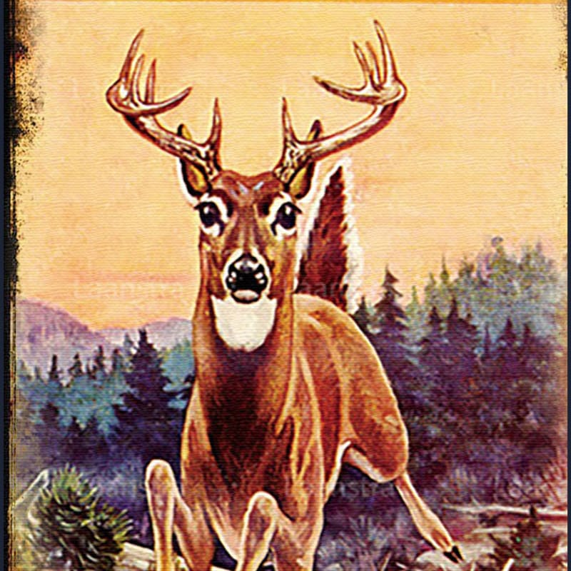 Hunting Trophy Antique Art - Etsy