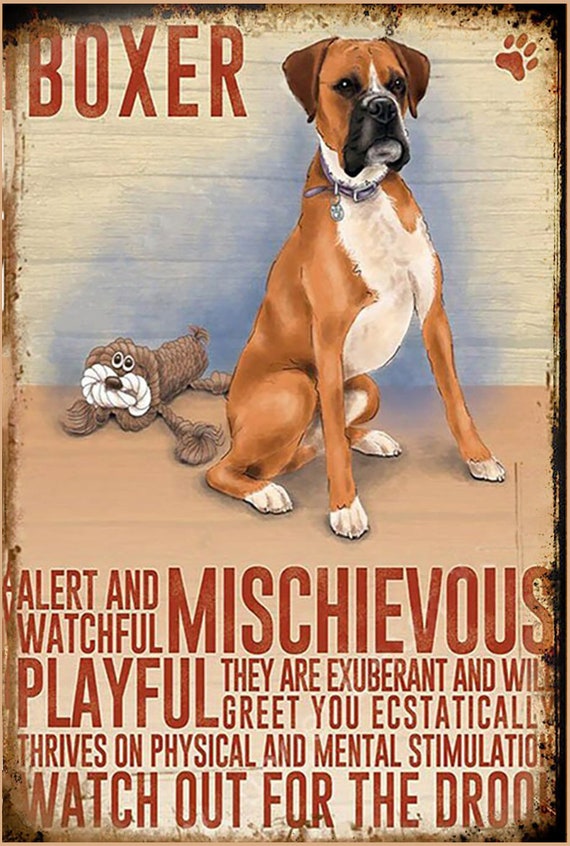 Boxer Dog Signs