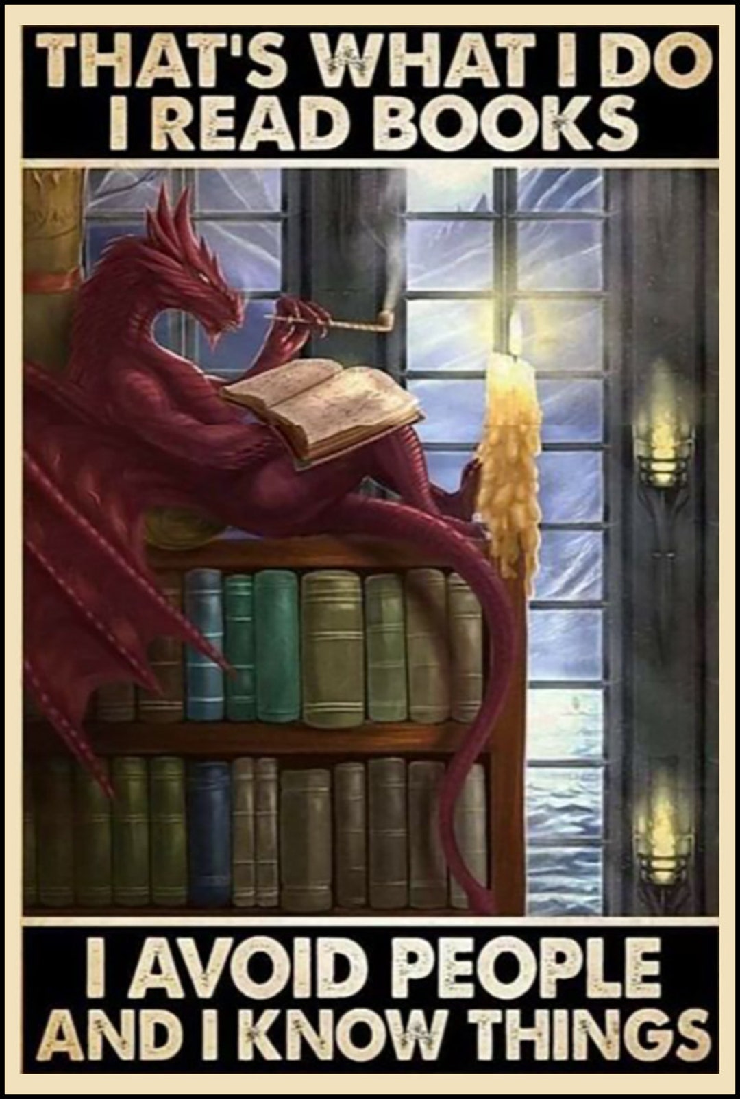 Mystic Wise Dragon Metal Poster Fantasy Art - Read Books, Avoid People ...