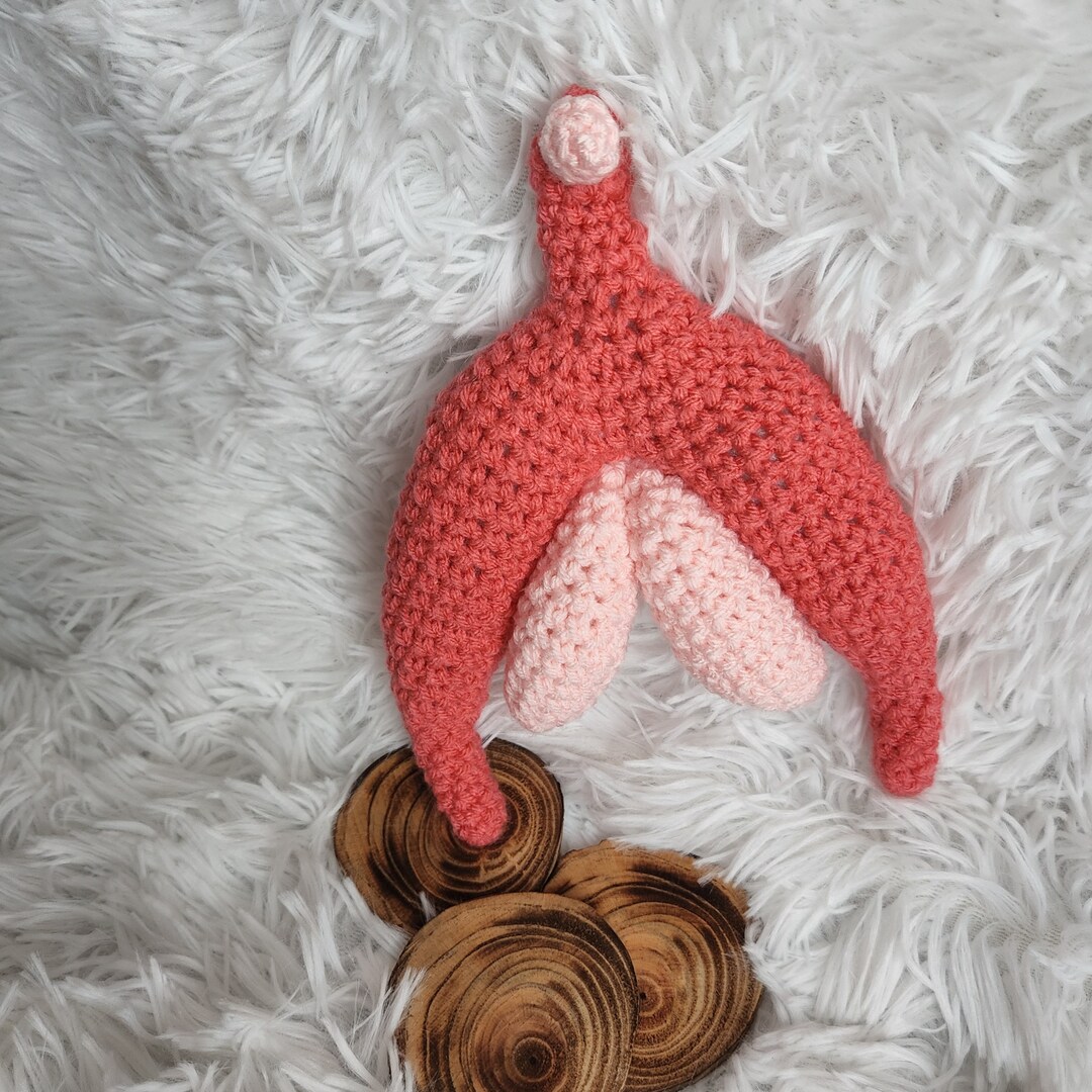 Handmade Crochet Clitoris Sex Education Clit Anatomy Feminist Gag Adult T Female Genital