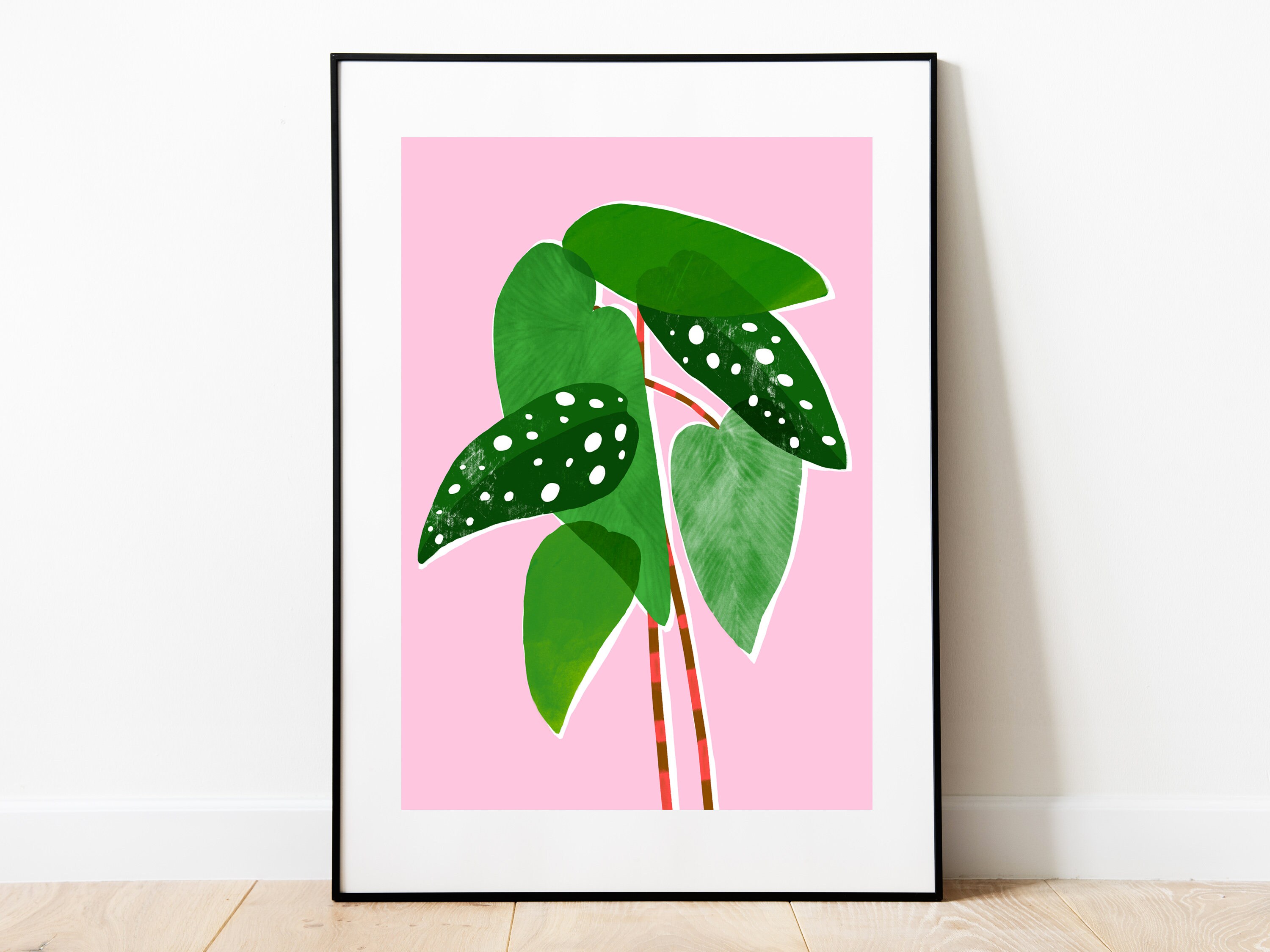 Begonia Maculata Printable Botanical Art Print on Pink - Etsy