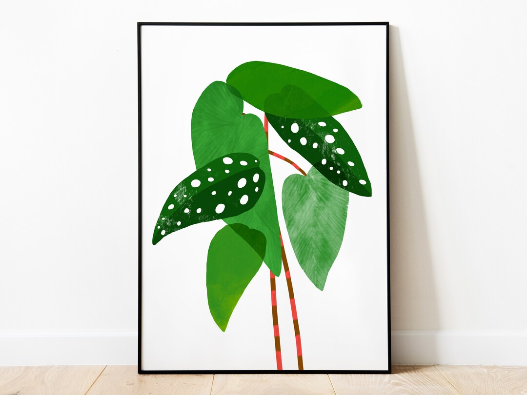 Begonia Maculata Print, Printable Minimalist Botanical Art, Tropical ...