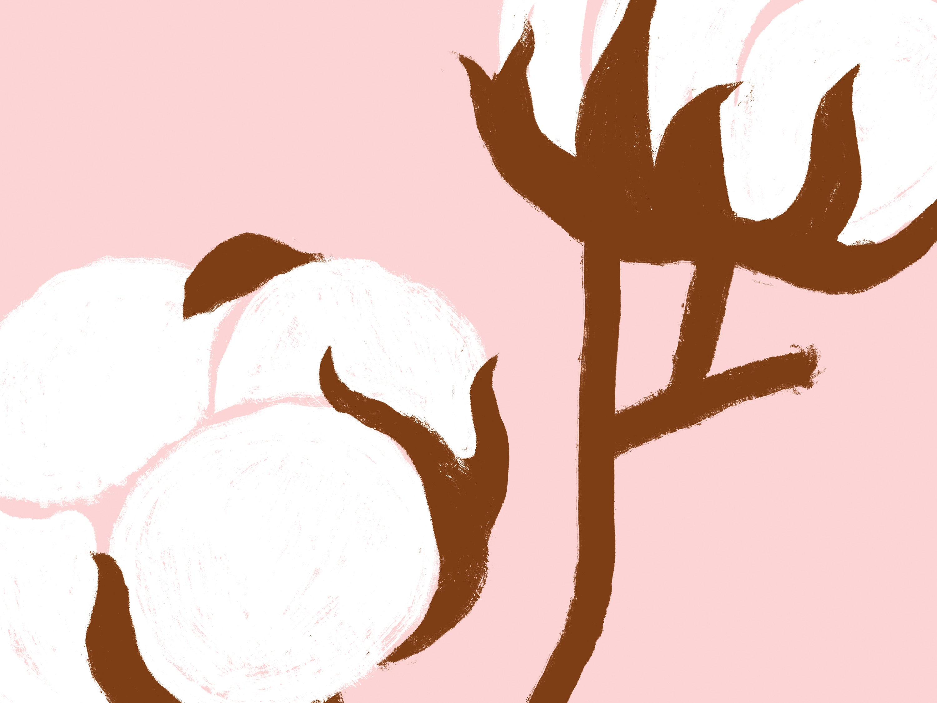 COTTON Boll Art Print, Printable Cotton Flower Branch Poster ...