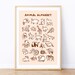 Animal Alphabet Print, Pastel ABC Poster, Kids Room Printable Wall Art ...