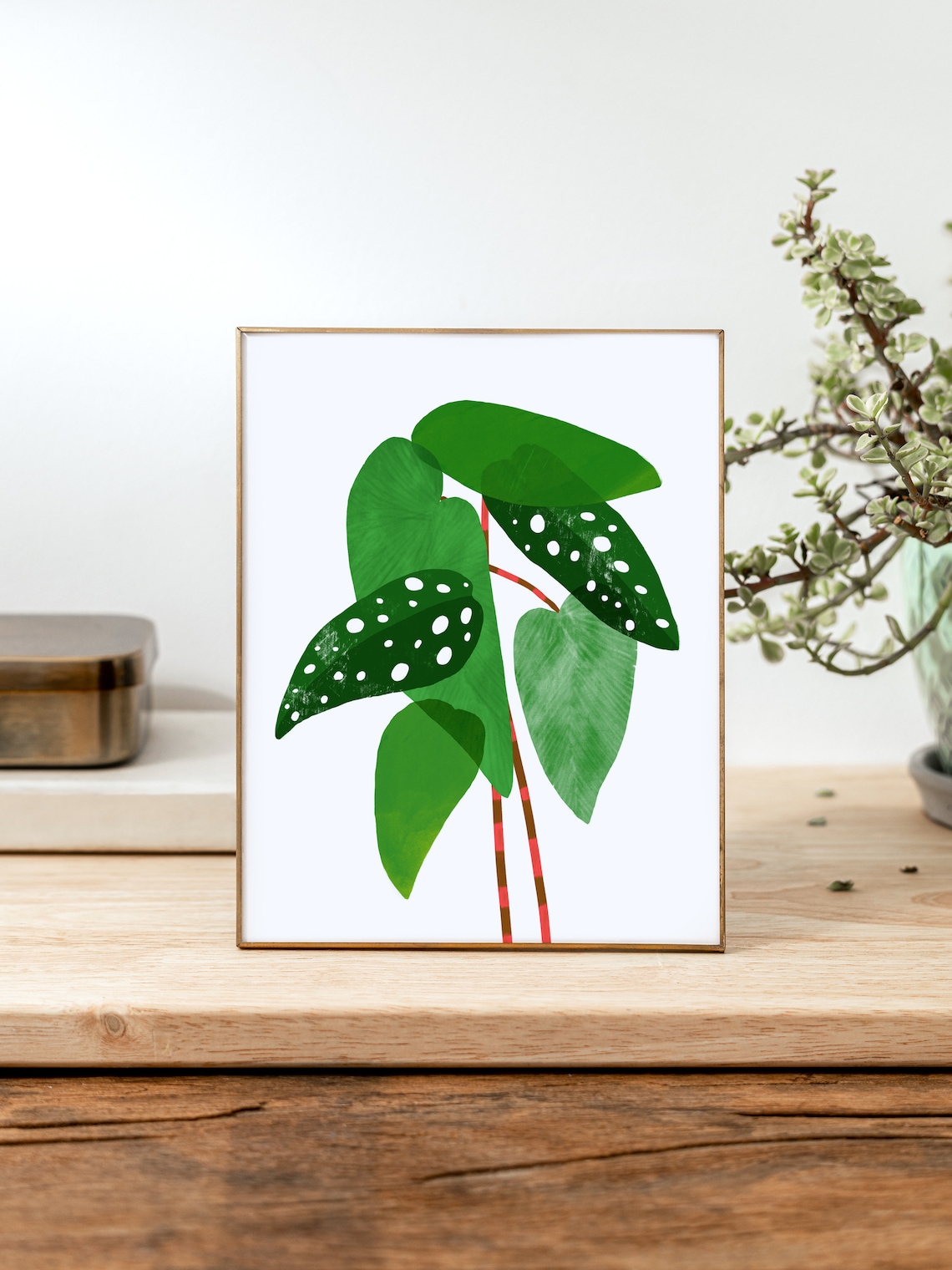 Begonia Maculata Print Printable Minimalist Botanical Art - Etsy